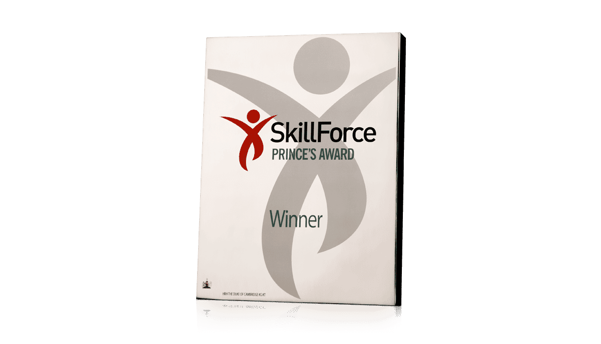 Discover Our Custom Skillforce Prince's Awards Trophy | Gaudio