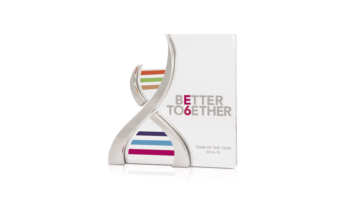 Discover Our Custom Better Together Awards Trophy | Gaudio