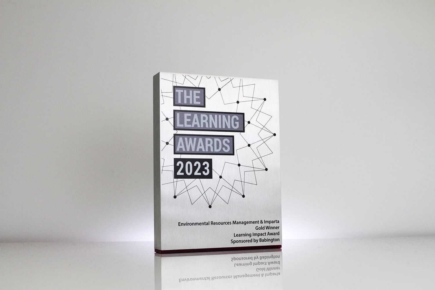 Discover Our Custom Learning Awards Trophy | Gaudio