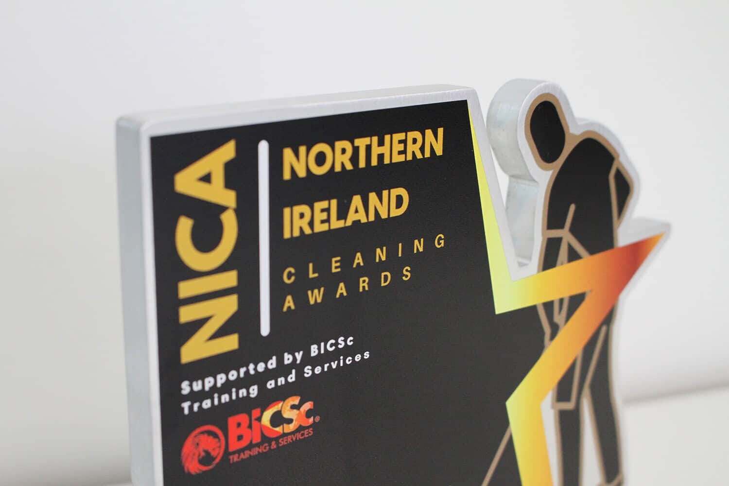 Discover Our Custom Northern Ireland Cleaning Awards Trophy | Gaudio