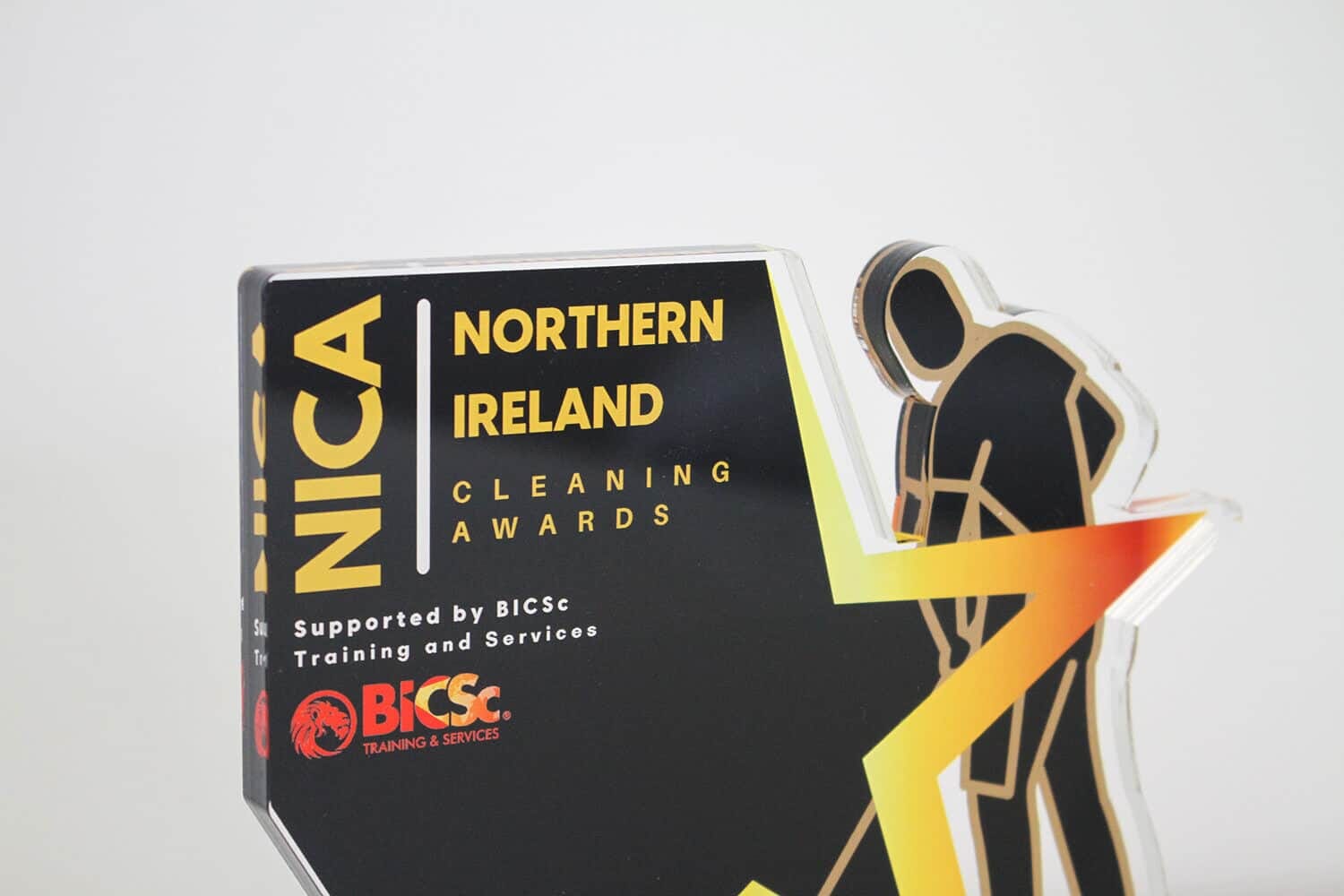 Discover Our Custom Northern Ireland Cleaning Awards Trophy | Gaudio