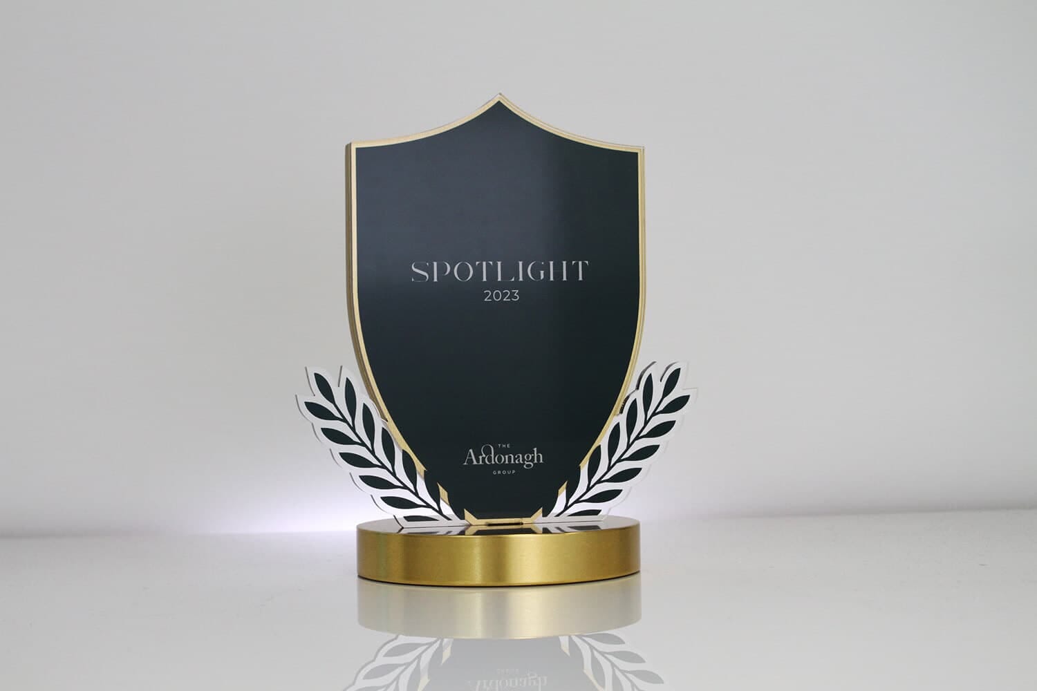 Discover Our Custom Ardonagh Spotlight Awards 2023 Trophy | Gaudio